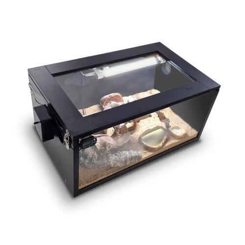 HabiStat Black Leopard Gecko Starter Kit | Monkfield Reptile